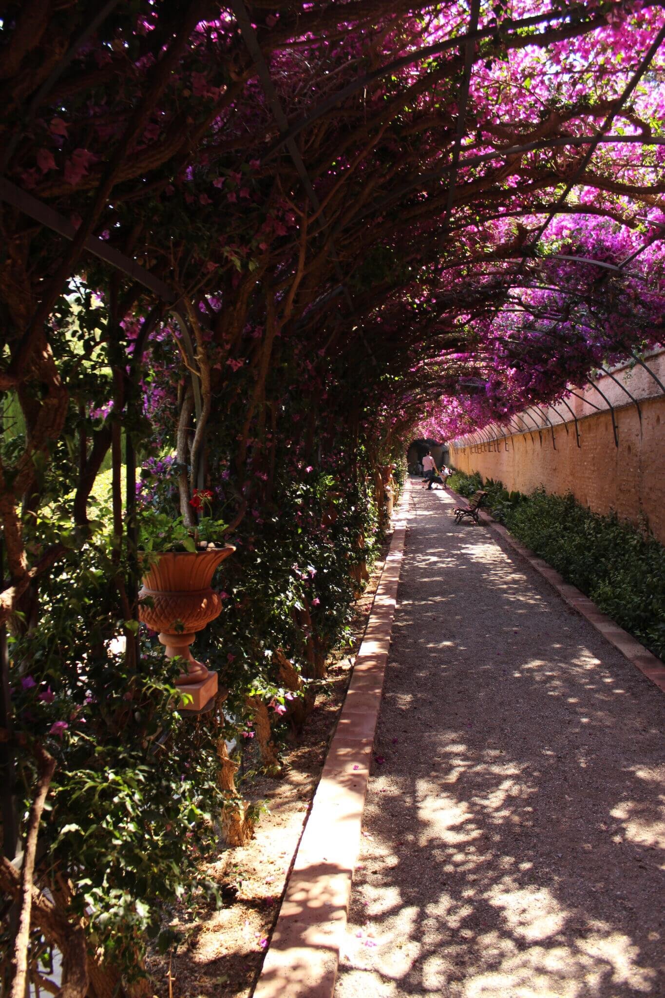 Valencia Weather: April — Top Travel Tips for Valencia in April ...